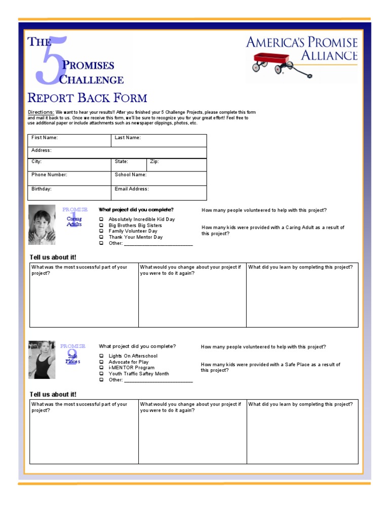 Challenge Report Back Form | PDF