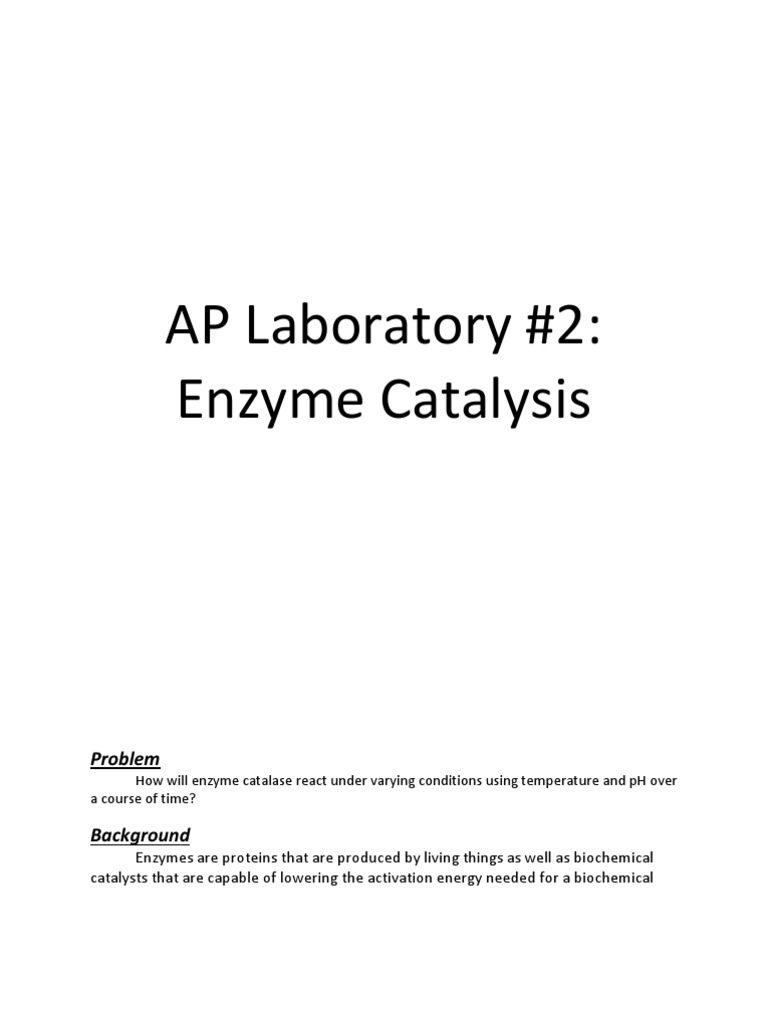 Enzyme AP Lab | PDF | Catalase | Enzyme