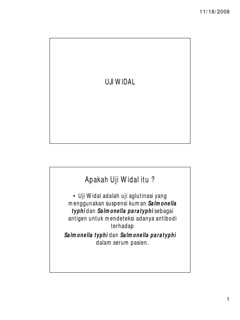 Widal Tes | PDF