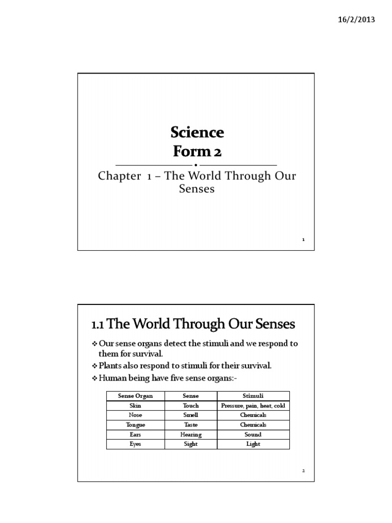 Chapter 1 - The World Through Our Senses | PDF | Auditory System | Ear