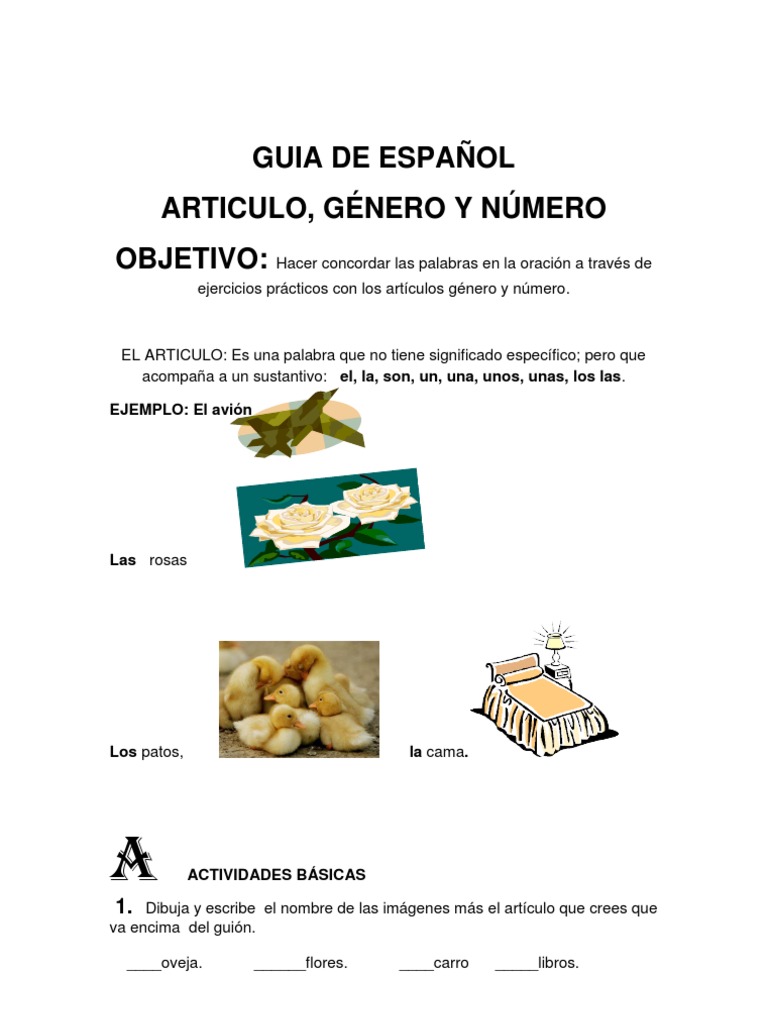 Artículo Género y Número | PDF | Cerebro | Sustantivo