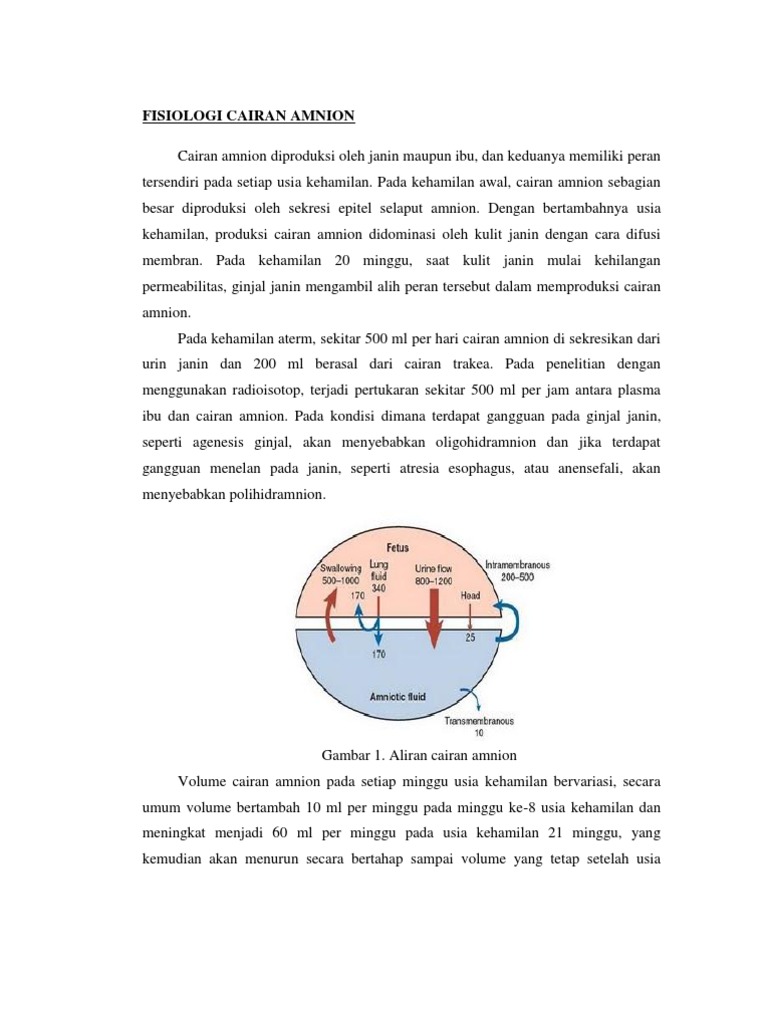 Fisiologi Cairan Amnion Nanda | PDF