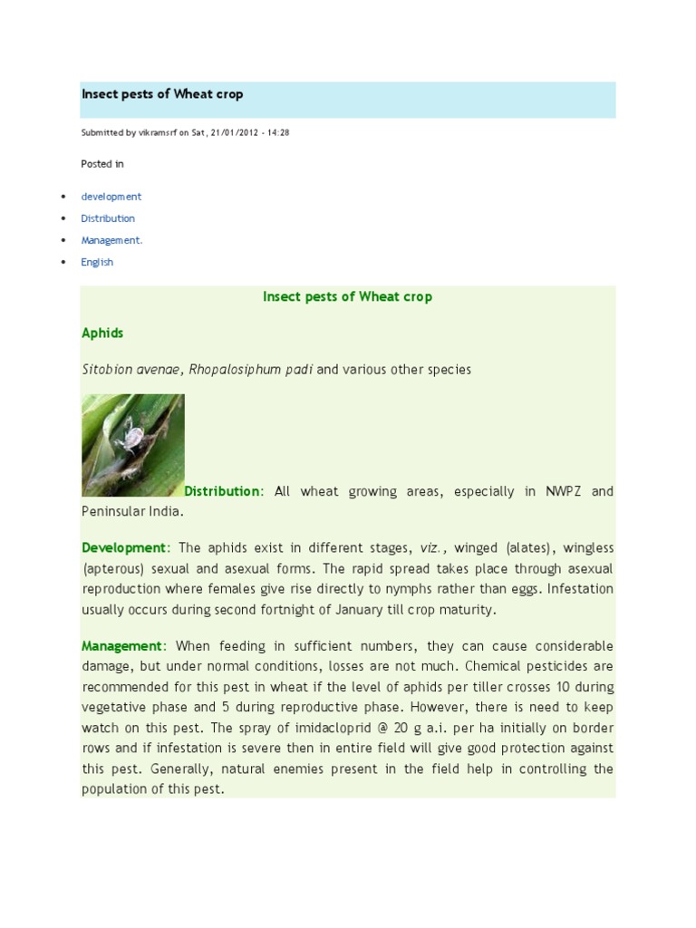 Wheat Pest Management Guide | PDF | Crop Rotation | Wheat