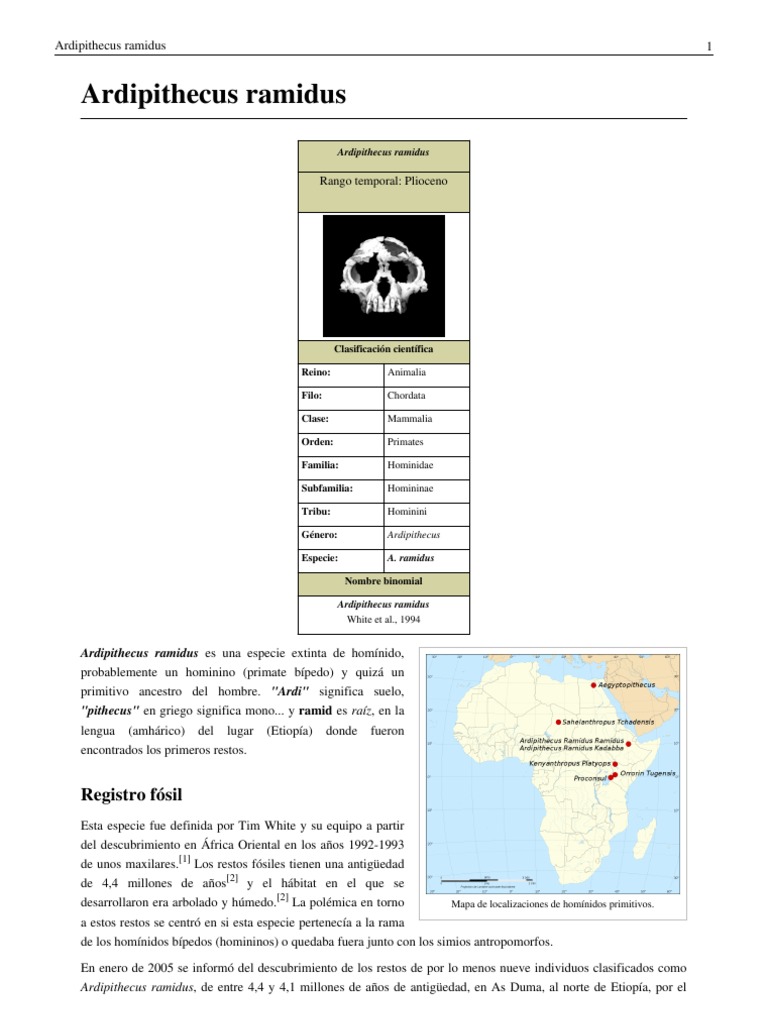 Ardipithecus ramidus: características y hallazgos | PDF | Hominini ...