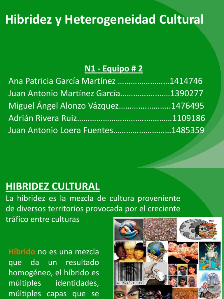 Hibridez y Heterogeneidad Cultural