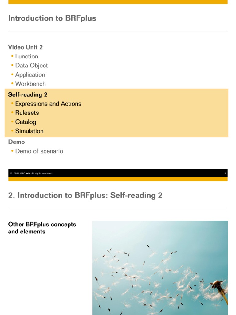 Brfplus / BOPF - SAP Mobility / SUP | PDF