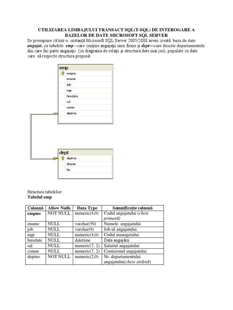 Exercitii Rezolvate Baze de Date SQL | PDF