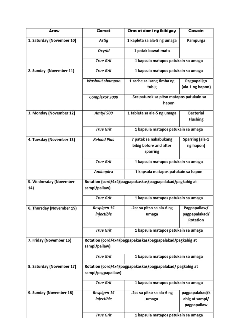 14-Days Conditioning Program | PDF