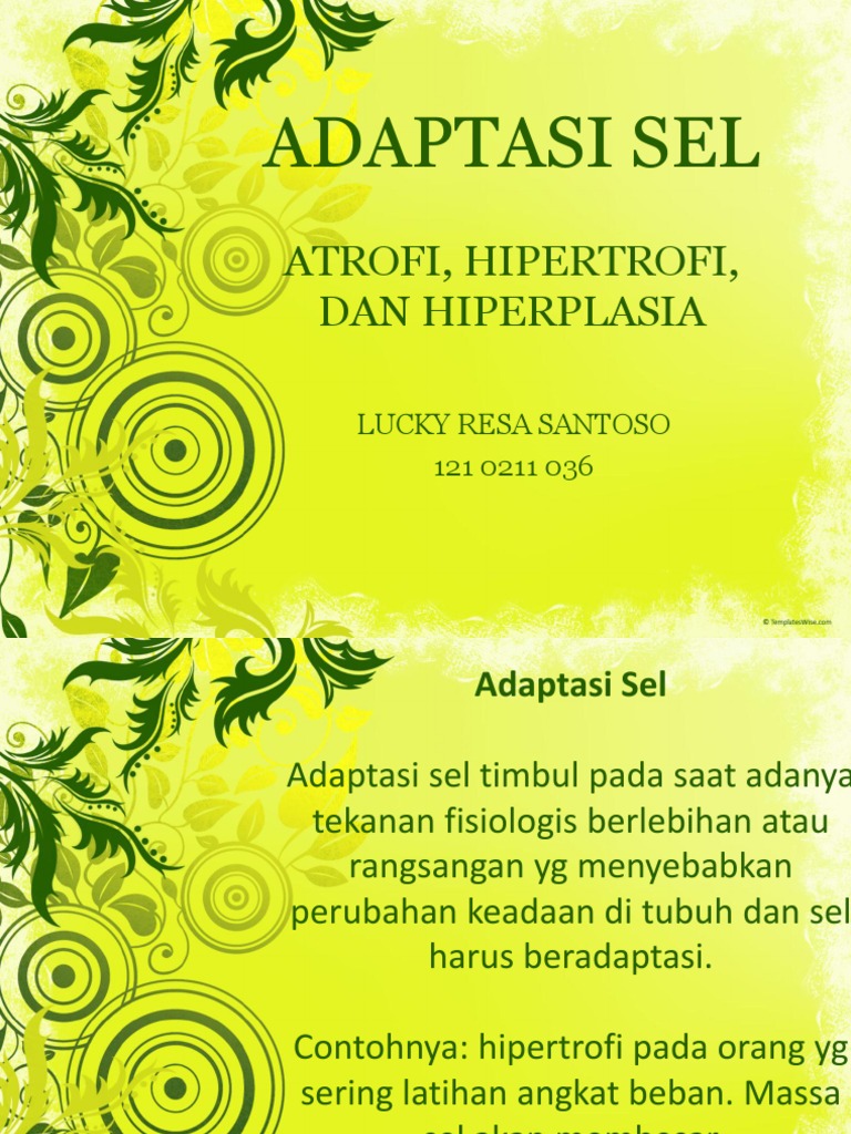 Atrofi, Hipertrofi, Dan Hiperplasia | PDF