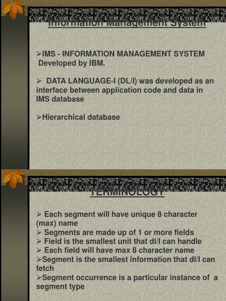 Ims Db Pdf Databases Data