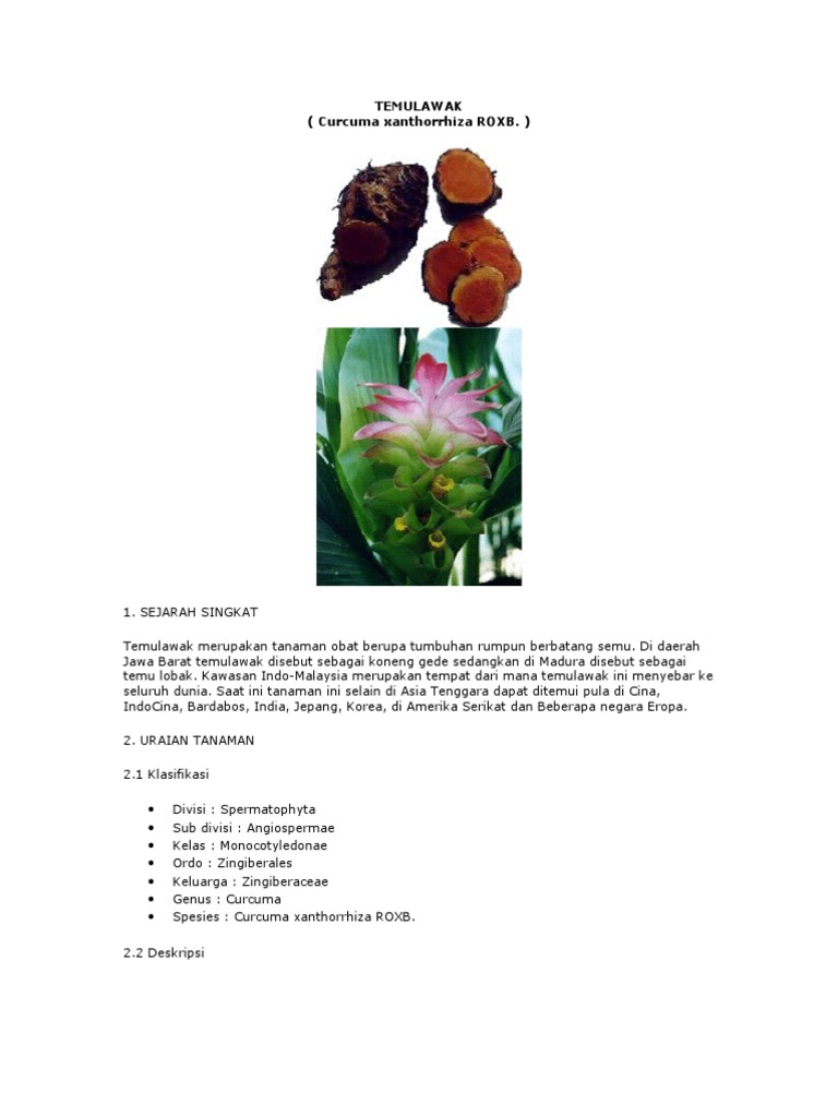 Budidaya Tanaman Temulawak | PDF
