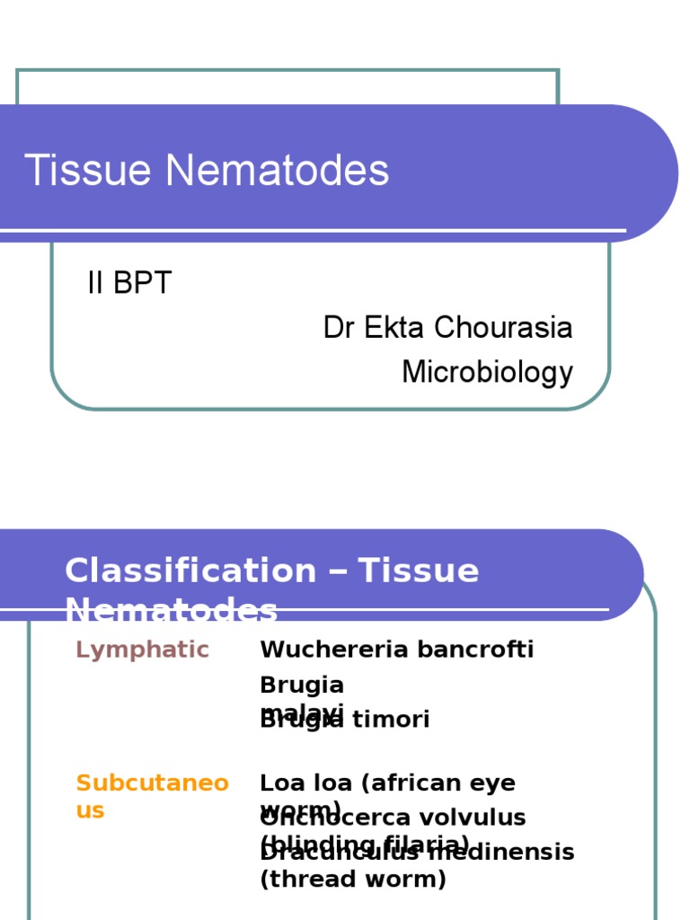 Tissue Nematodes | PDF | Microbiology | Diseases And Disorders