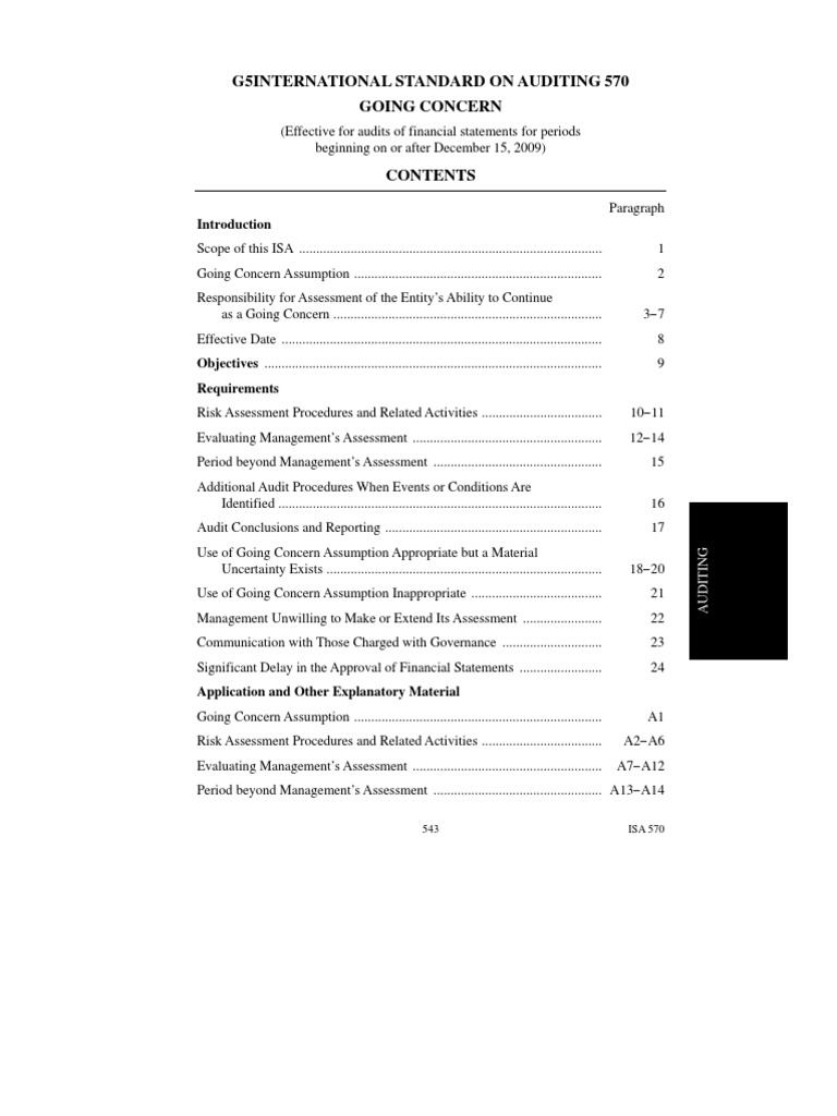Isa 570 | PDF