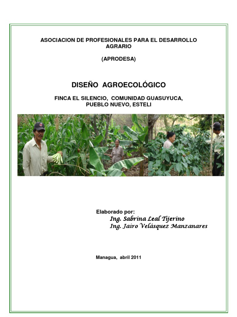 Diseño Agroecológico para Finca El Silencio | PDF | Valor presente neto ...
