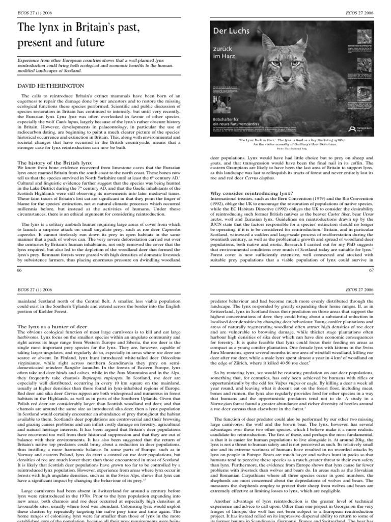 UK Lynx Reintroduction Paper | PDF | White Tailed Deer | Gray Wolf