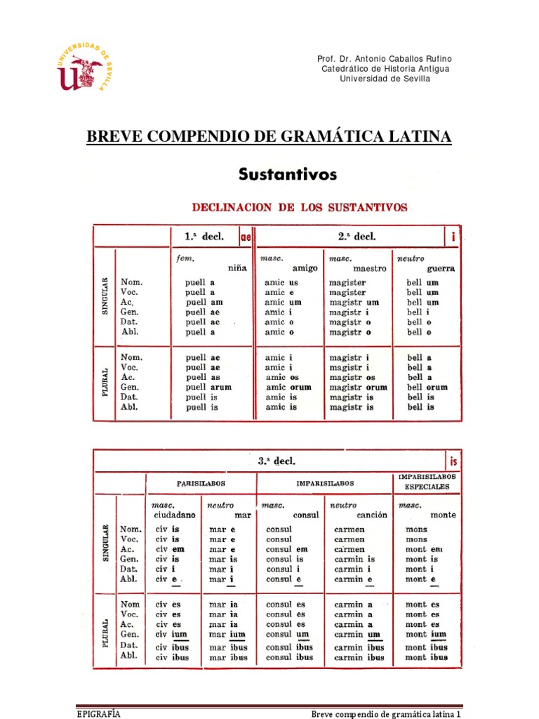 An Introduction to Latin Grammar: A Concise Compendium | PDF