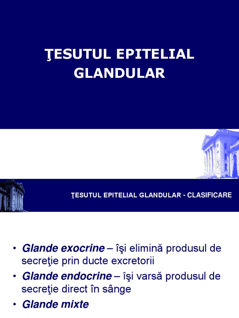 Tesutul Epitelial 2 | PDF
