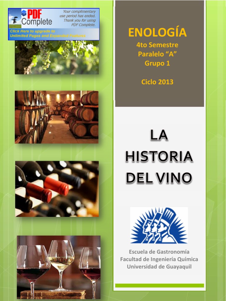 Un recorrido por la historia del vino desde sus orígenes hasta la ...