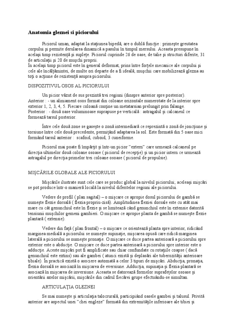 Anatomia Gleznei Si Piciorului | PDF