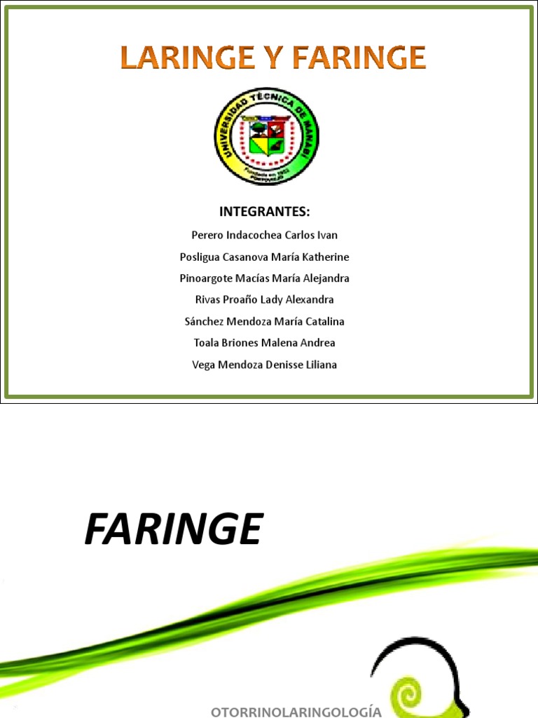 Faringe y Laringe | PDF | Laringe | Esófago