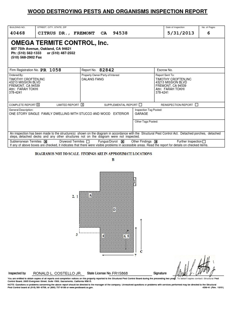 Termite Report | PDF | Pesticide | Agriculture