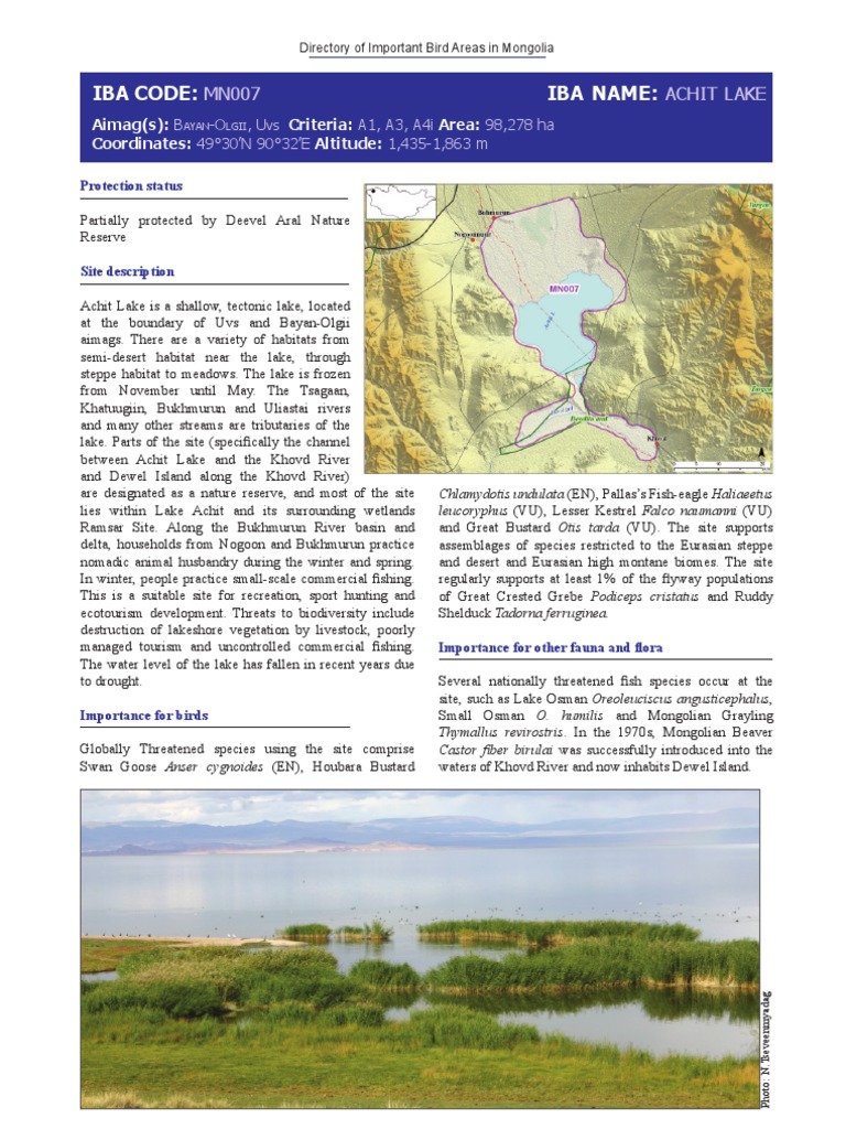 Achit Lake: Key Bird Area in Mongolia | PDF
