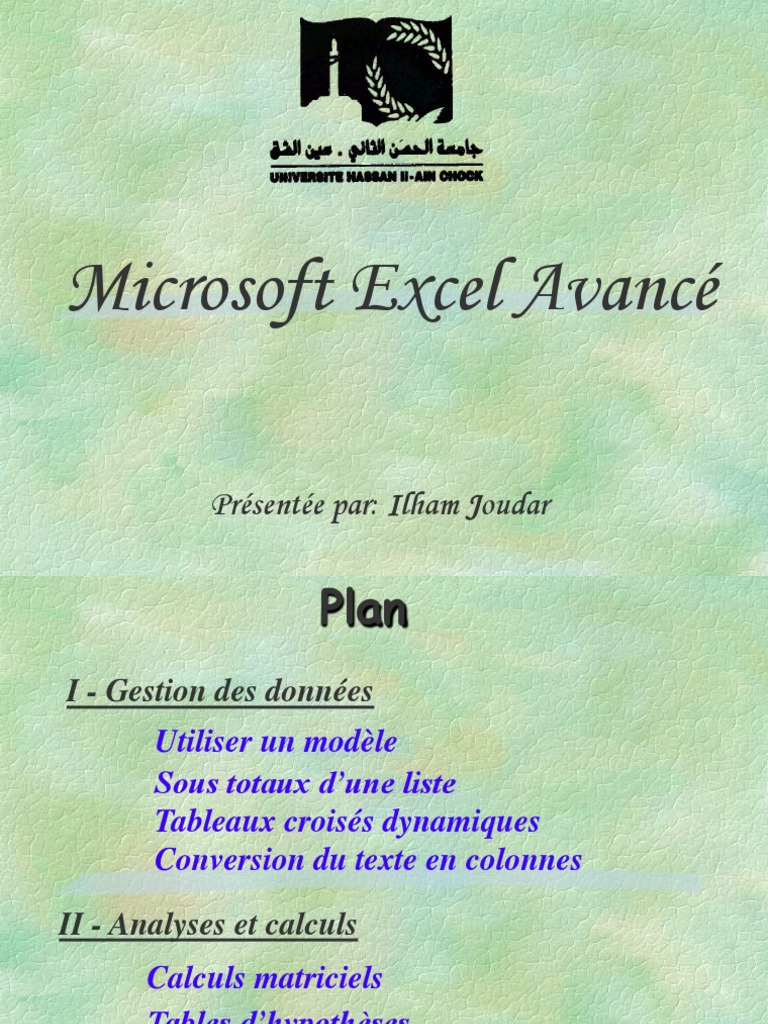 Excel Avancé : Gestion et Analyses | PDF