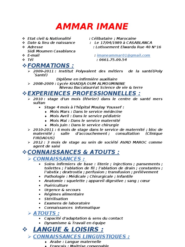 CV Imane Ammar | PDF