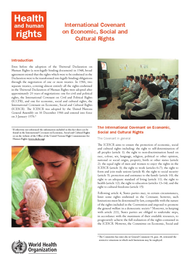Economic Social Cultural Rights - UN (A Brief) | PDF | Human Rights ...