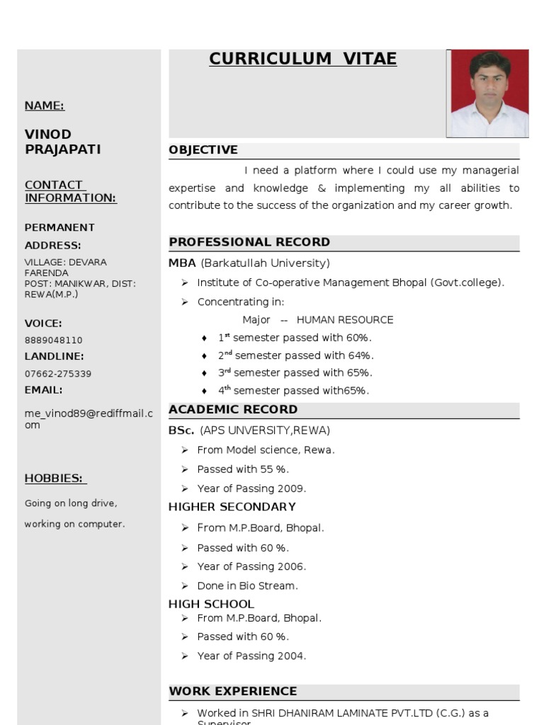 Vinod Prajapati's Professional CV | PDF