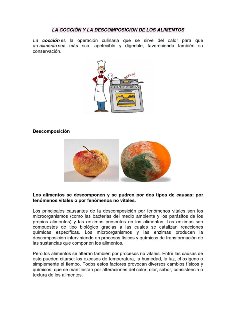 La Coccion y La Descomposicion de Los Alimentos | PDF