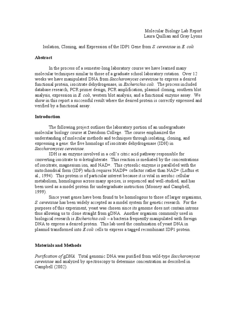Lab Report | PDF | Polymerase Chain Reaction | Molecular Cloning