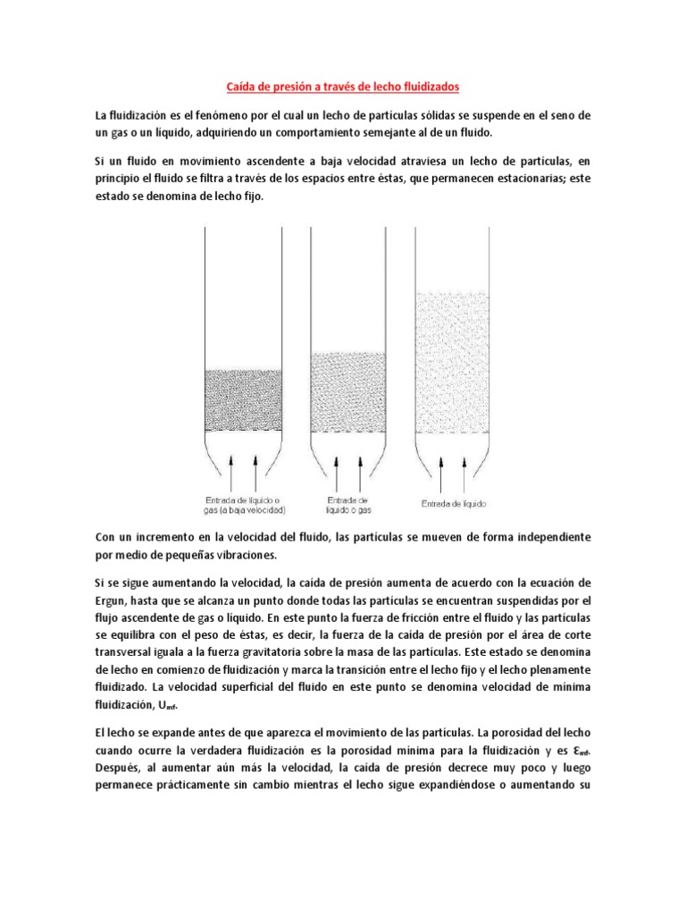 Lecho Fluidizado | PDF | Líquidos | Adsorción