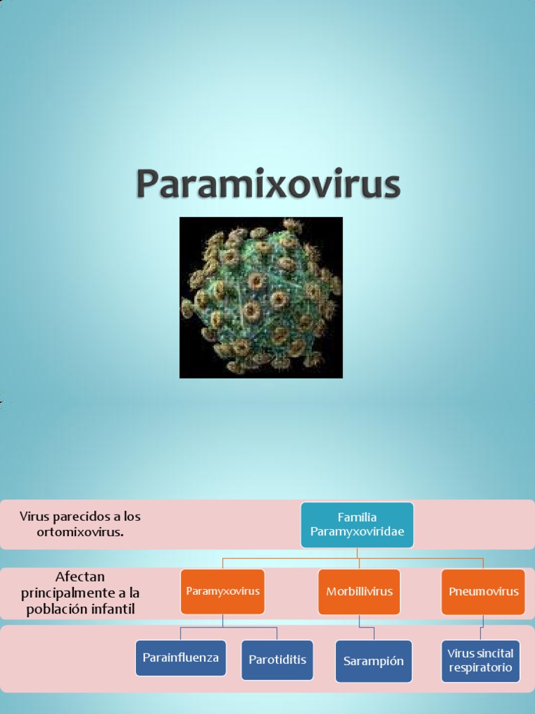 Paramixovirus Completo | PDF | Sarampión | Virus