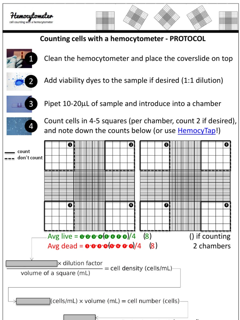 Hemocytometer Manual Cell Counting 1 Riset