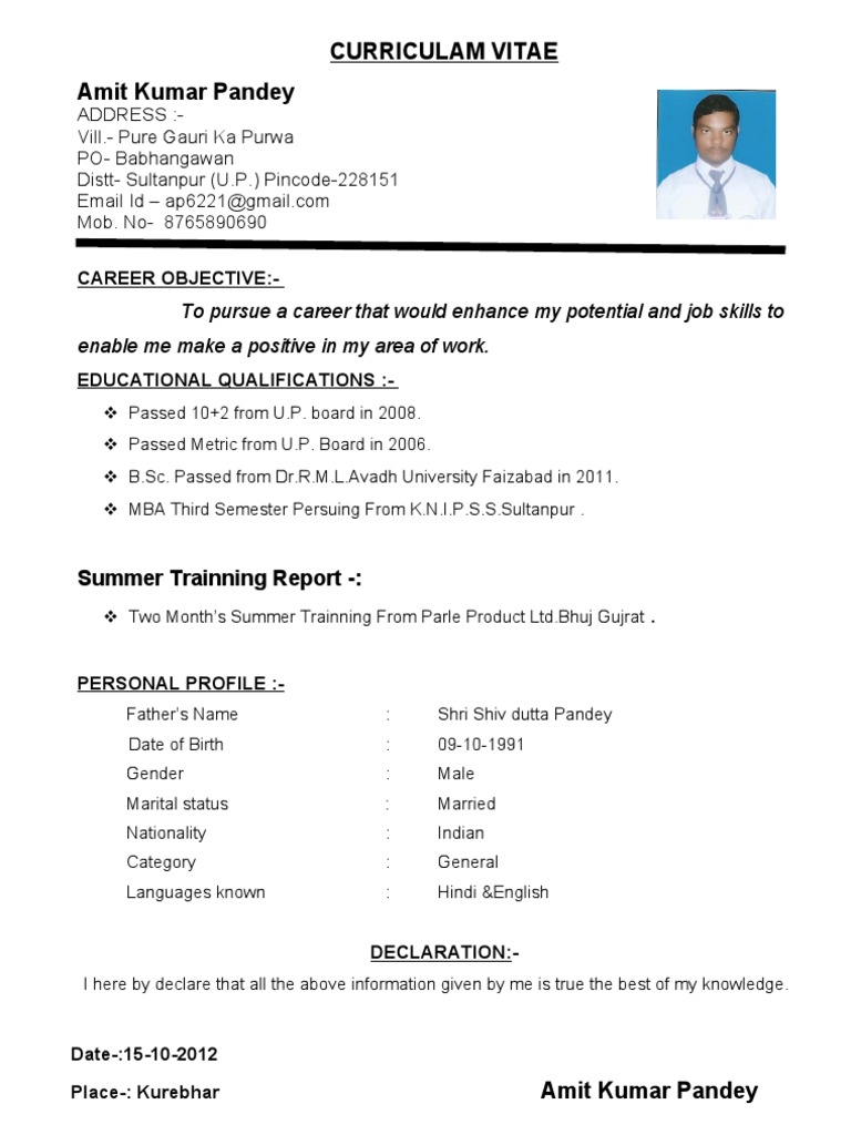 CV of Amit Kumar Pandey | PDF