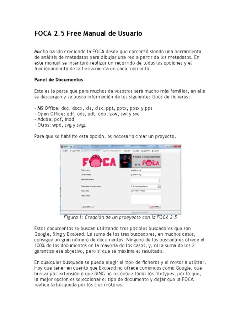 Manual Foca 2 | PDF | sistema de nombres de dominio | Servidor web