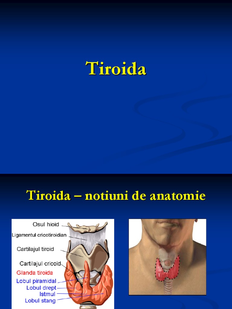 Guía Completa sobre Tiroides y Trastornos | PDF | Salud y bienestar ...