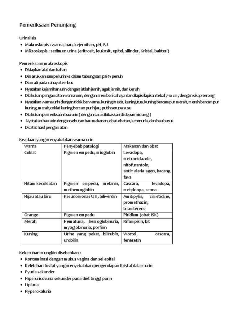 Pemeriksaan Penunjang ISK dan Hasil Lab | PDF | Kesehatan Holistik