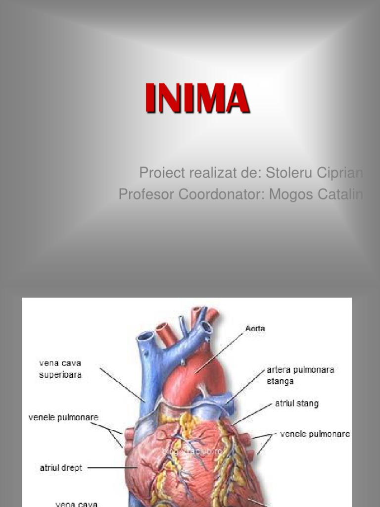 INIMA - prezentare biologie