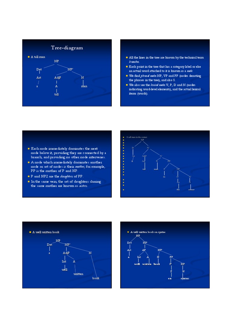 Tree Diagrams - Noun Phrase and Simple Sentence | PDF | Phrase | Philology