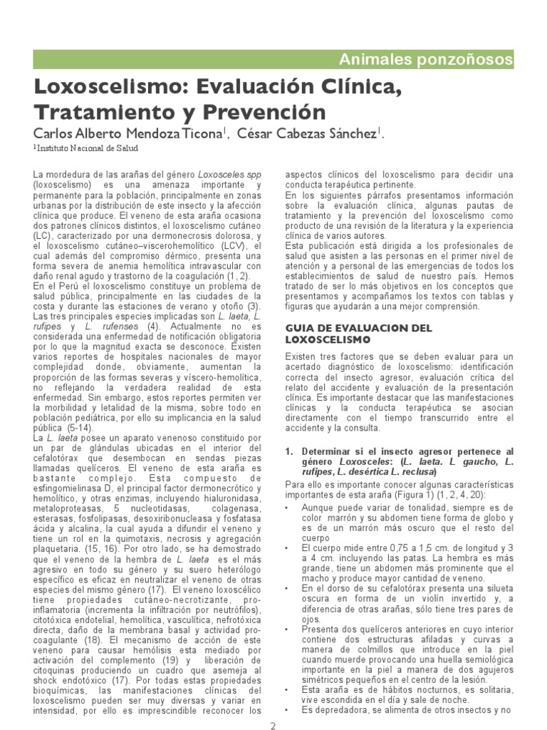 Tratamiento del Loxoscelismo Cutáneo | PDF | Araña | Medicina