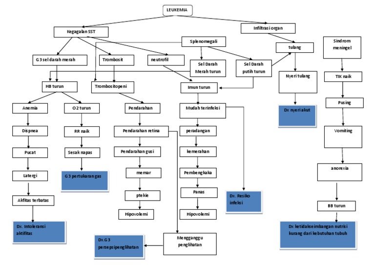 Patofisiologi Leukemia
