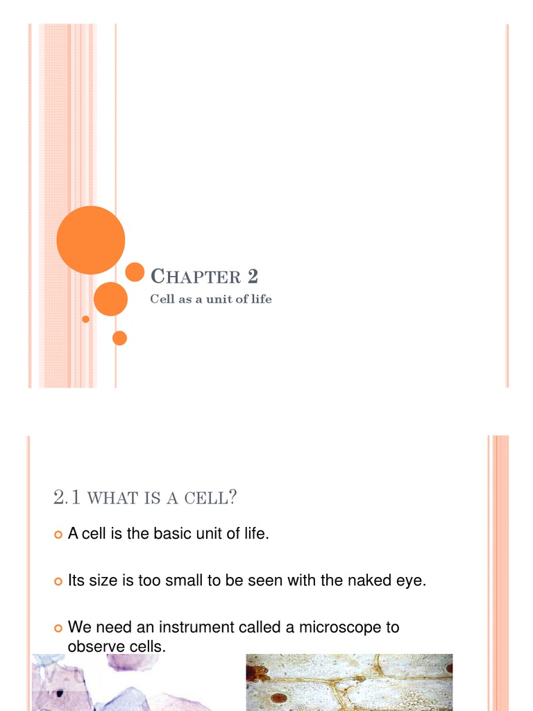 Science Form 1 Chapter 2 | PDF | Tissue (Biology) | Cell (Biology)