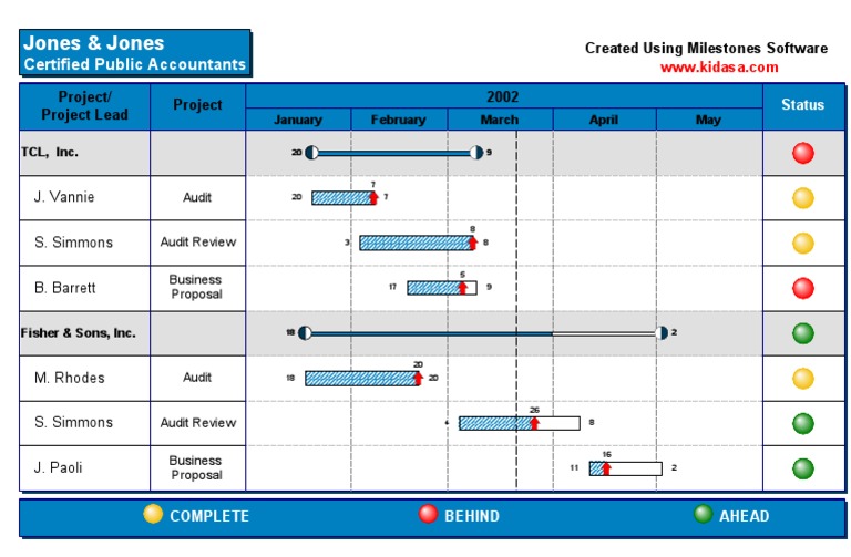 CPA Project Status Overview | PDF | Finance & Money Management