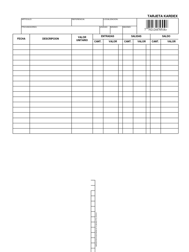 Formato Kardex | PDF