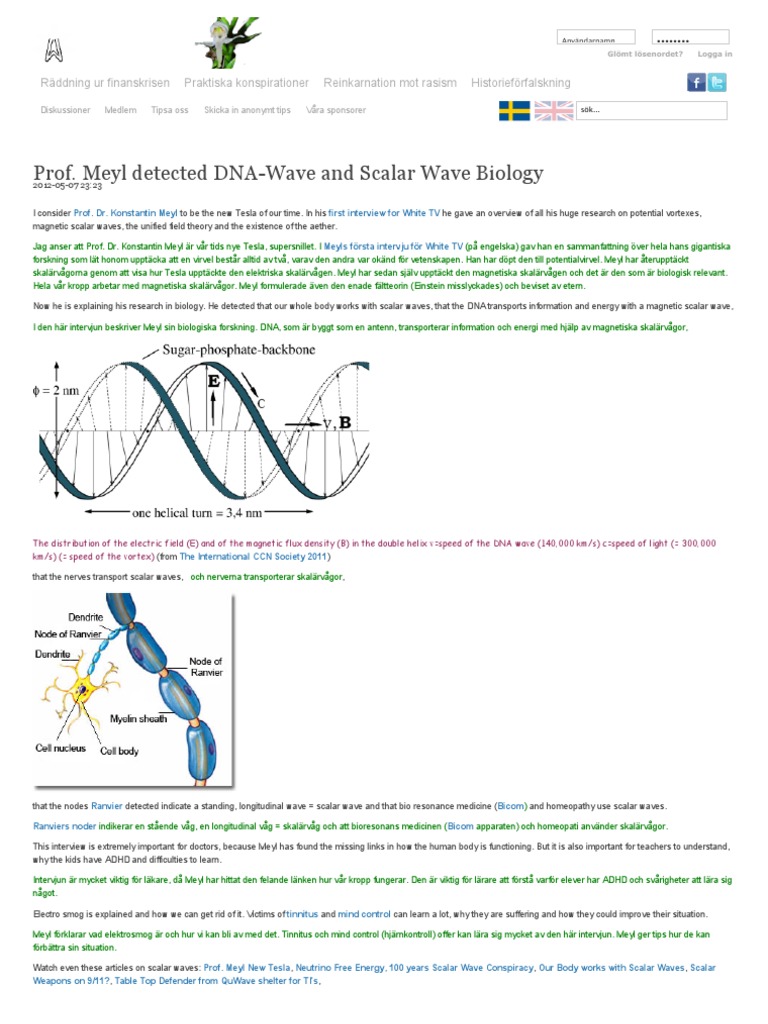 Prof. Meyl Detected DNA-Wave and Scalar Wave Biology | PDF