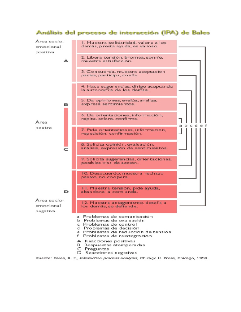 Analisis Del Proceso de Interaccion BALES | PDF