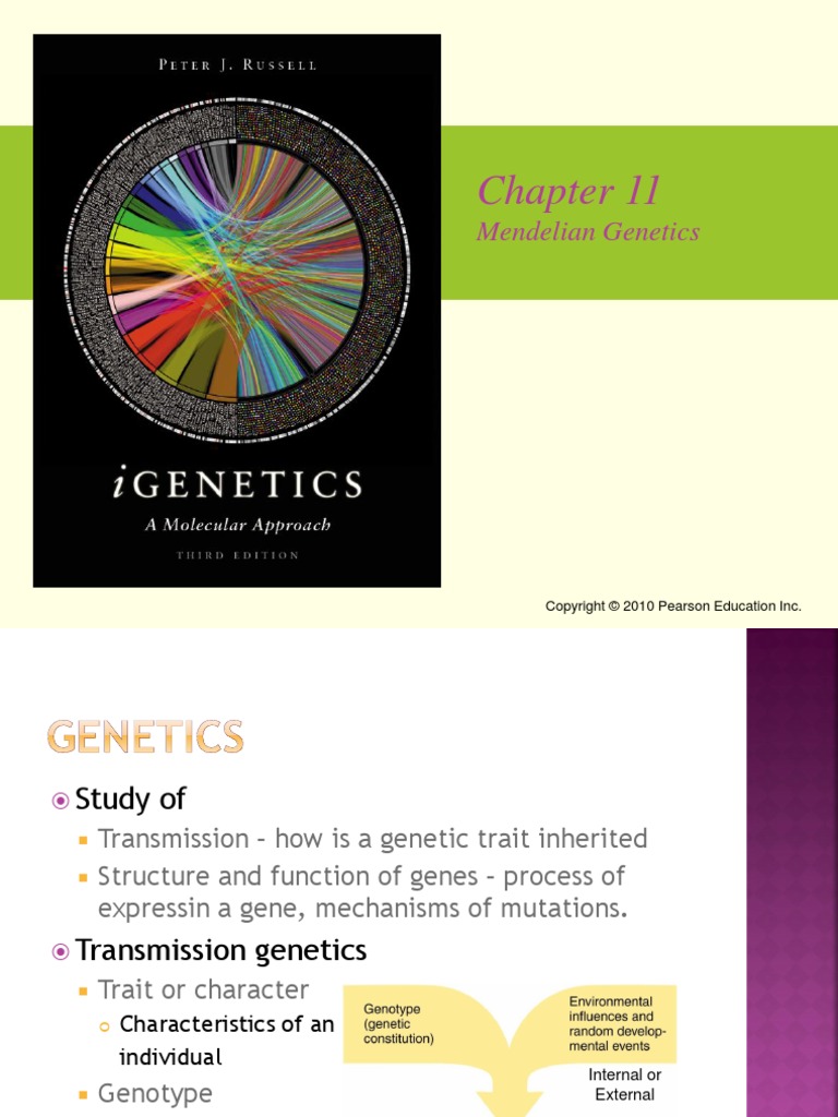 Chapter 11 Mendelian Genetics I Genetics Book | PDF | Gene | Dominance ...