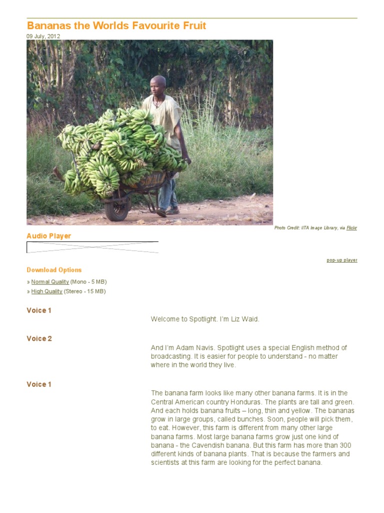 Bananas The Worlds Favourite Fruit | PDF | Banana | Food And Drink